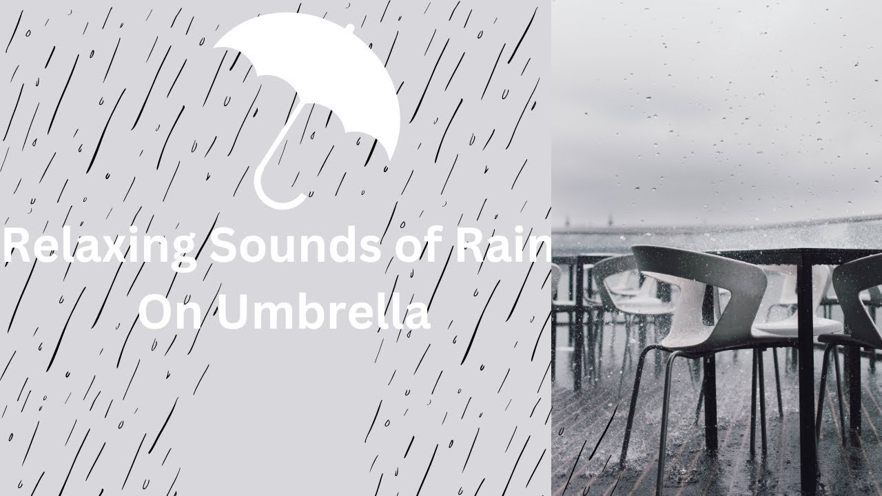 Relaxing Sound of Rain On Umbrella | Rain On Umbrella | Rain Drops ...