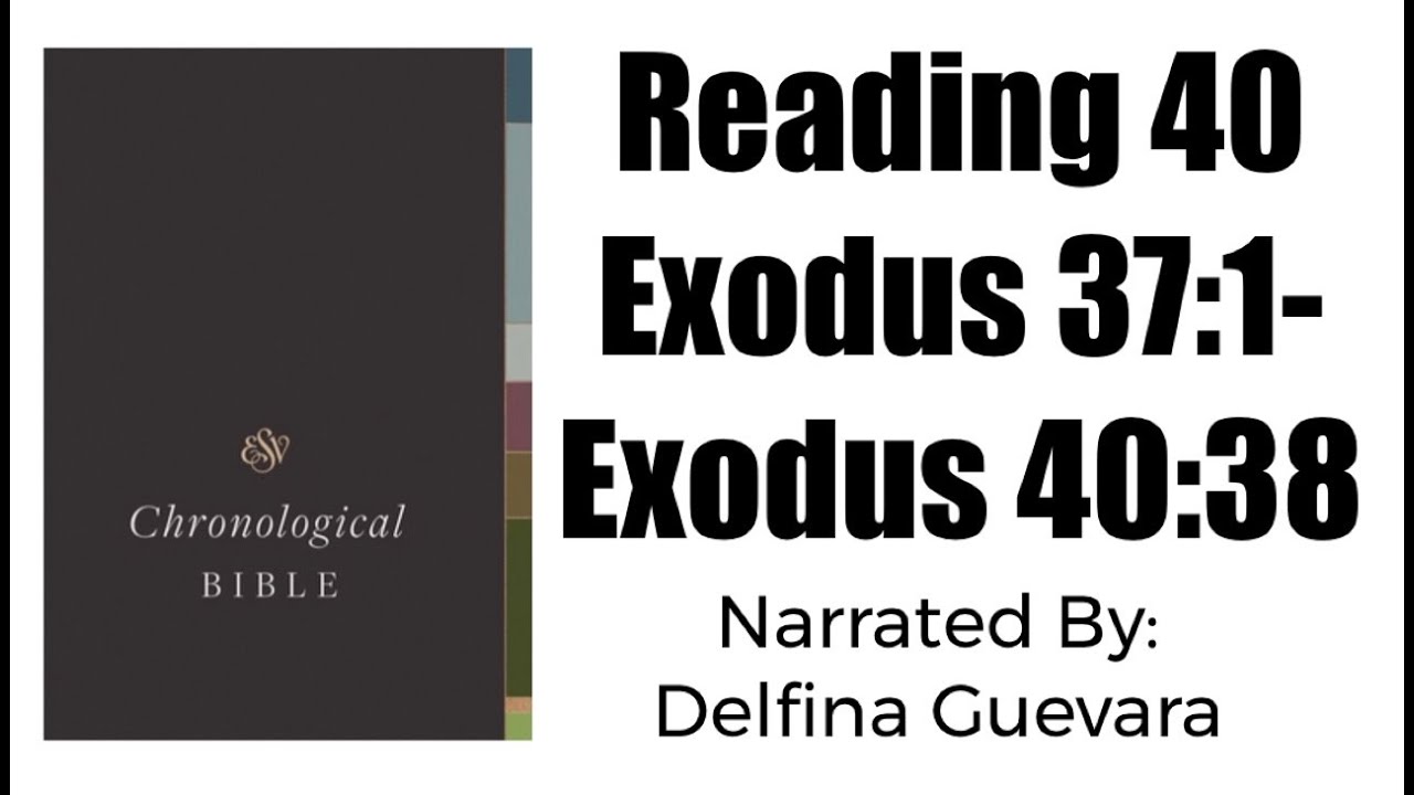Reading 40 for Chronological Bible - YouTube