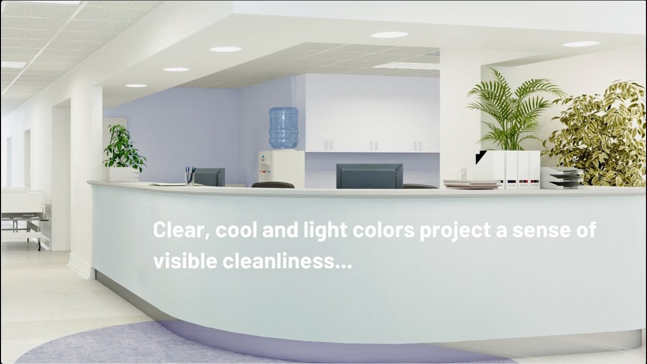 2023 Professional Color Palettes – For Wellness & Healthcare - YouTube