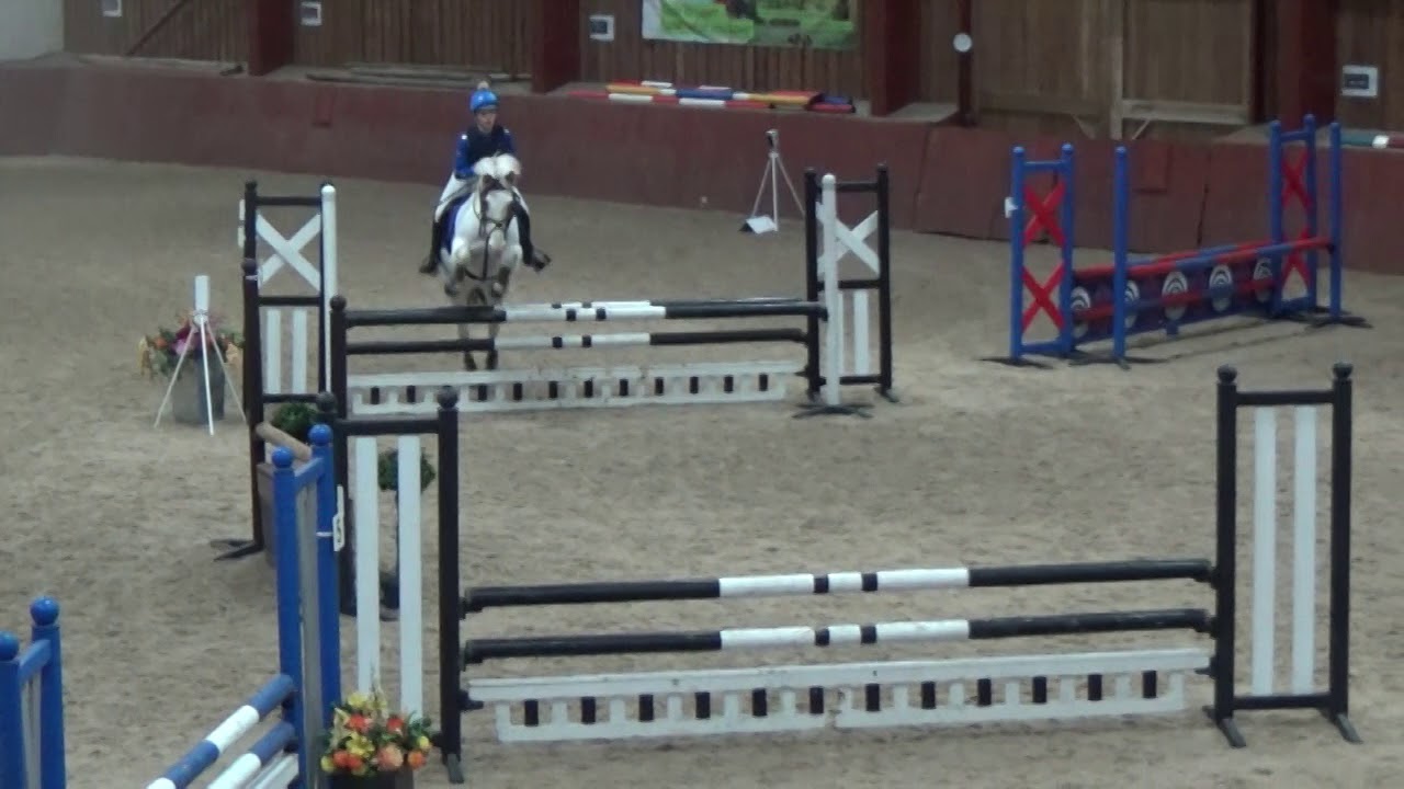 Henrik arena eventing @ Merrist Wood - 13.01.19 - YouTube