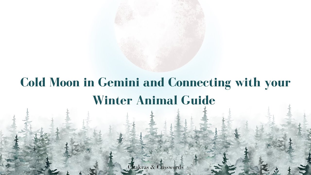 Cold Moon in Gemini and Connecting with yourWinter Animal Guide - YouTube