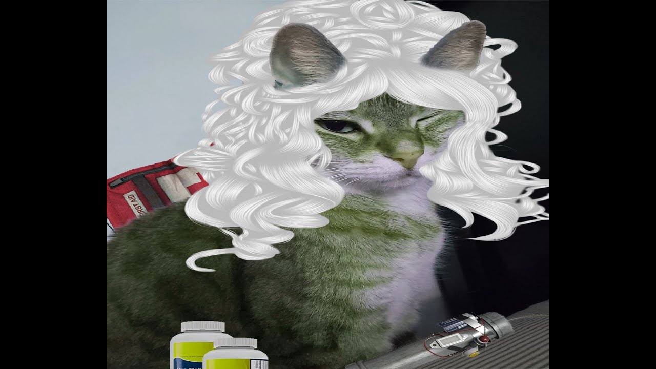 Certified Left 4 Dead Cat - YouTube