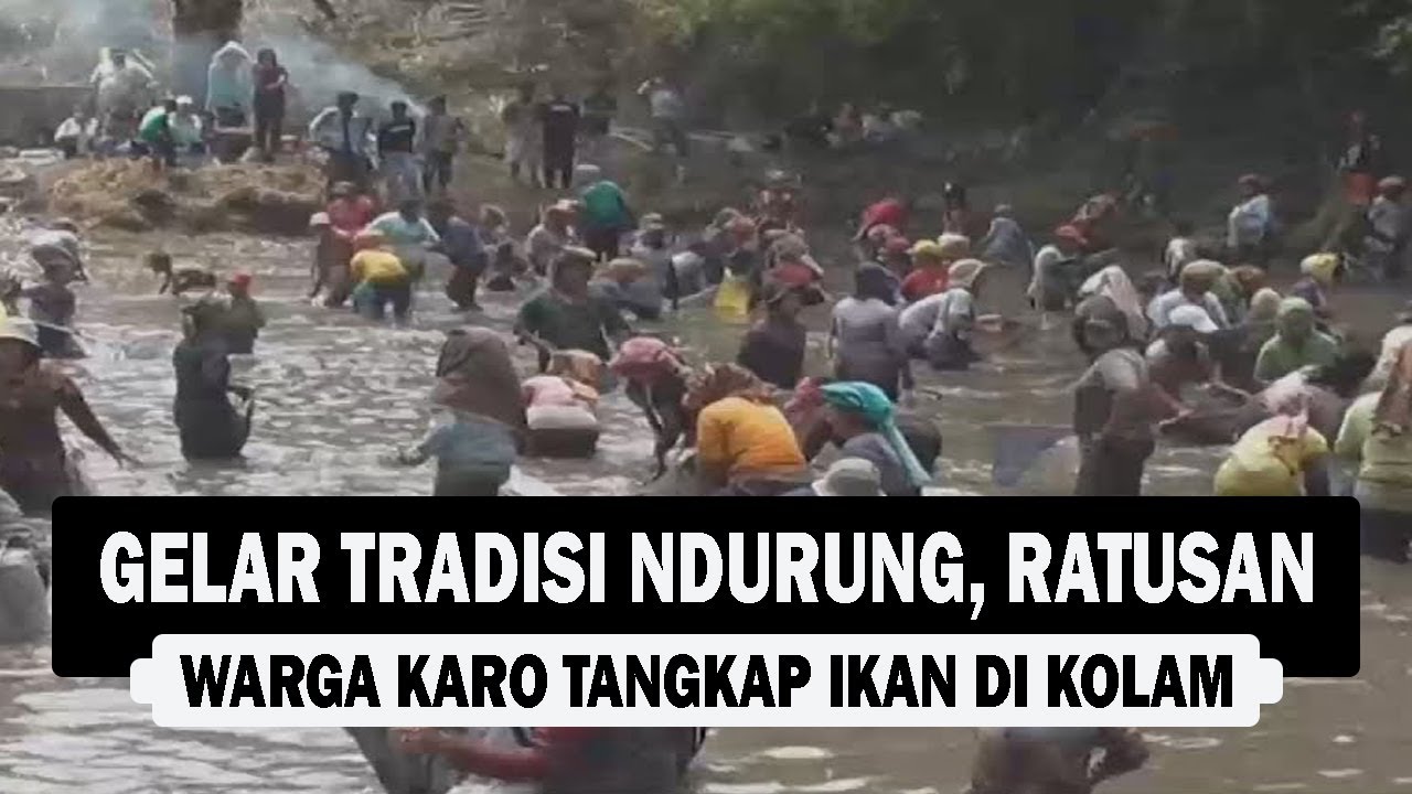 Gelar Tradisi Ndurung, Ratusan Warga Karo Tangkap Ikan di Kolam - YouTube
