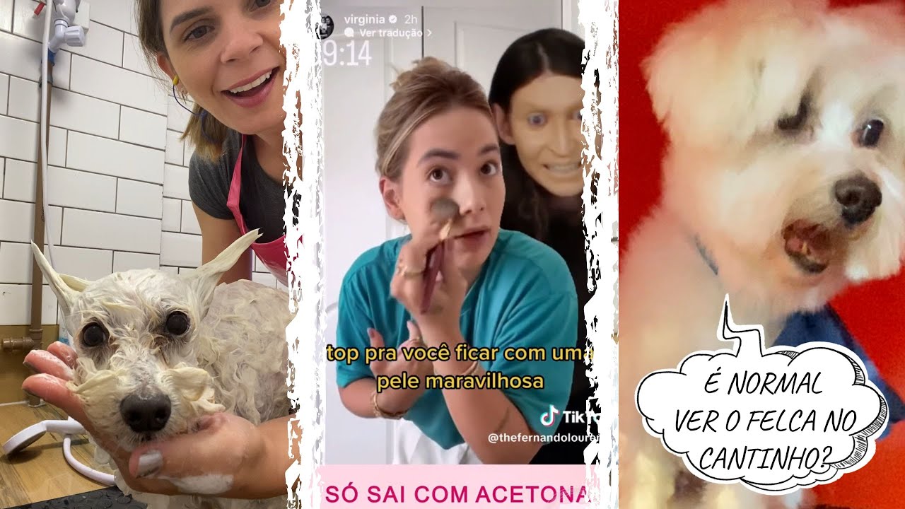 RALUCA X DIGGO X FELCA no PET SHOP? - YouTube