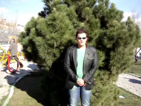 One of our best FARSI1 viewers! / Yeki az behtarin tamasha-chiane Farsi1