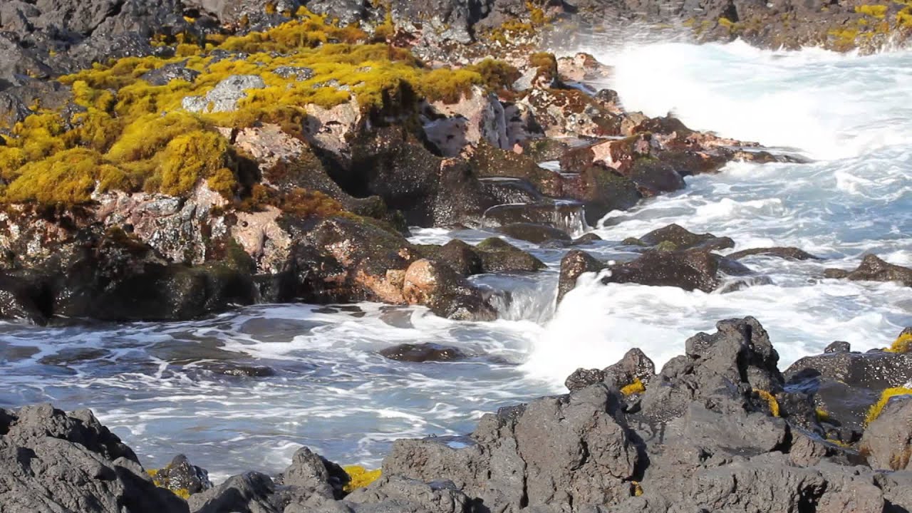 Isaac Hale ("Pohoiki") Surf over Rocks - YouTube