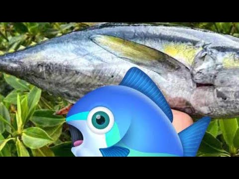 Cutting fish yellow pin in the market 🐠🐟 - YouTube