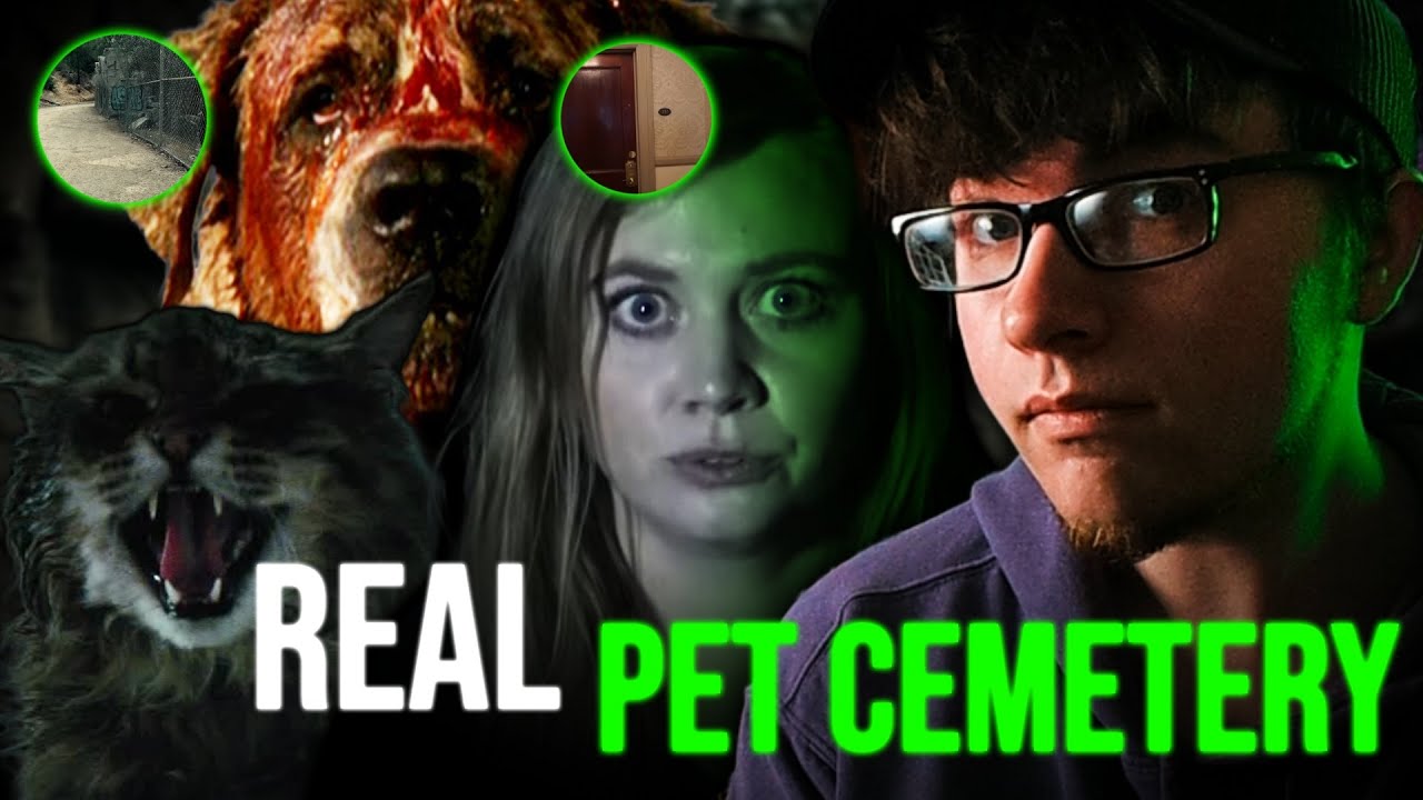 Reacting to REAL PET CEMETERY | Animal Ghost Stories by AmysCrypt - YouTube