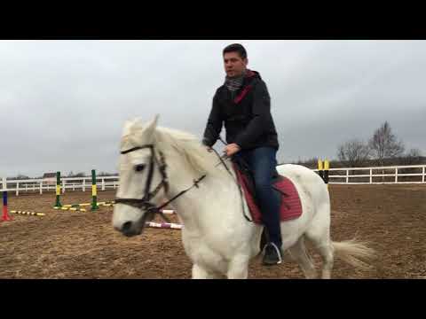 #Barboroslar #Alparslan #Diriliş #Ertuğrul #KuruluşOsman #Türk ATIN ÜSTÜNDE ki TÜRK DEĞİLSE YÜKTÜR