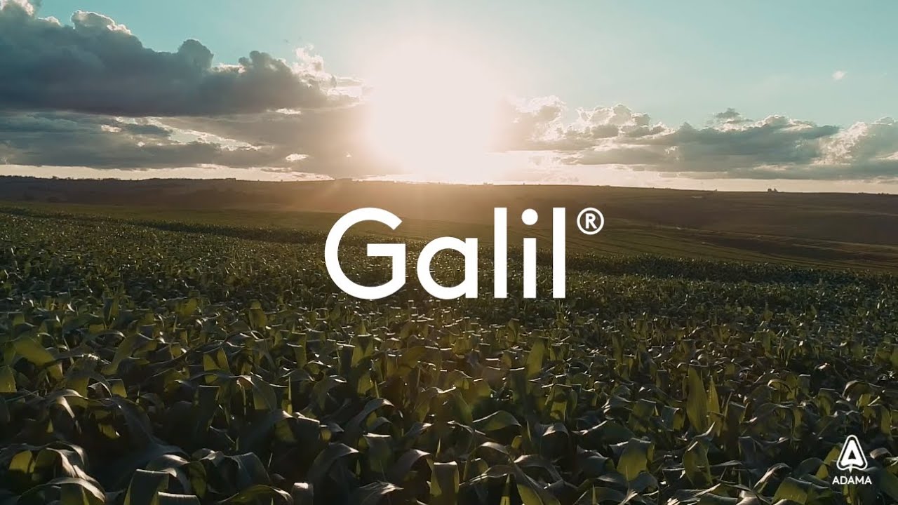 LOC INSPIRADORA - GALIL ADAMA - YouTube