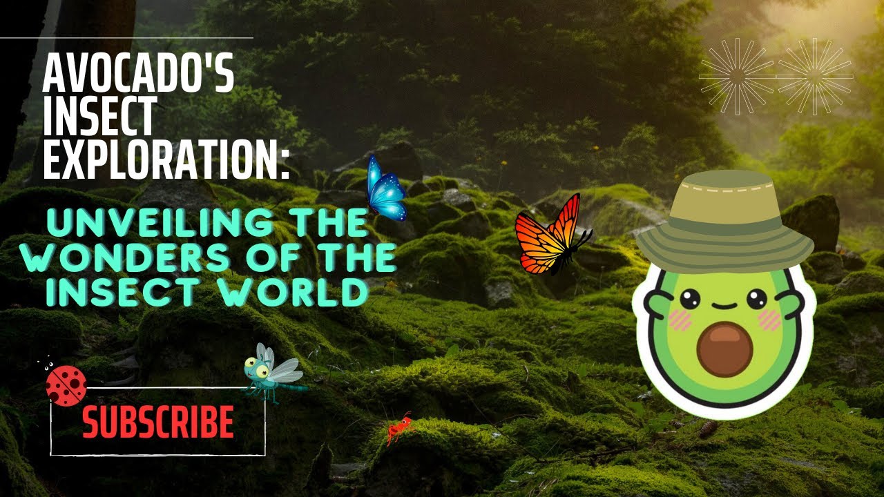 Avocado's Insect Exploration: Unveiling the Wonders of the Insect World ...