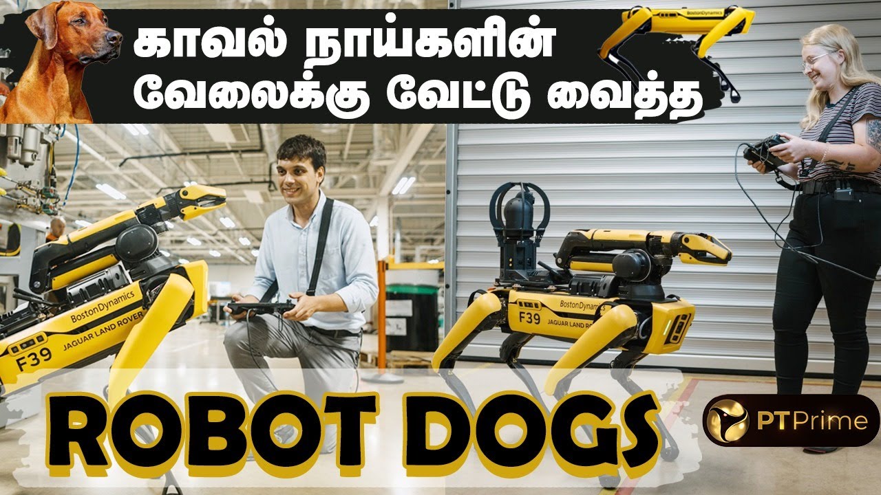 இப்போ இந்த ROBOTS தான் popular..🤖 | Robot Dog | Boston Dynamics ...