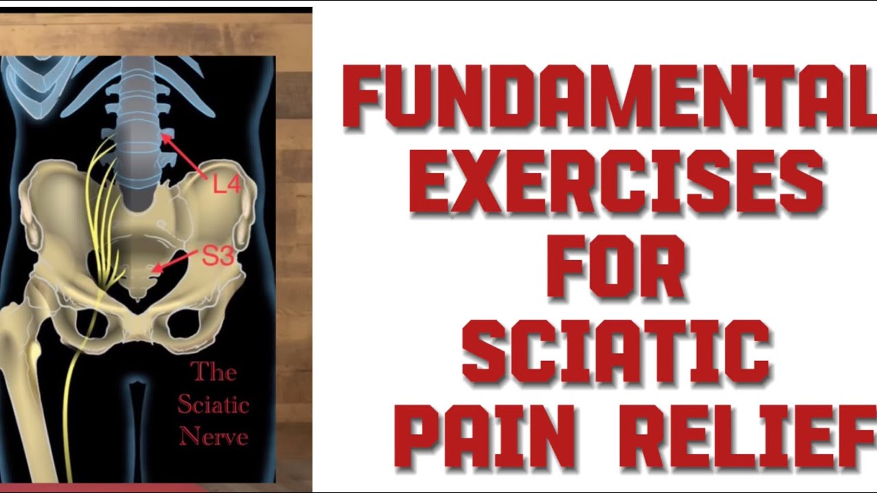 Fundamental Exercises for Sciatic Pain Relief - YouTube