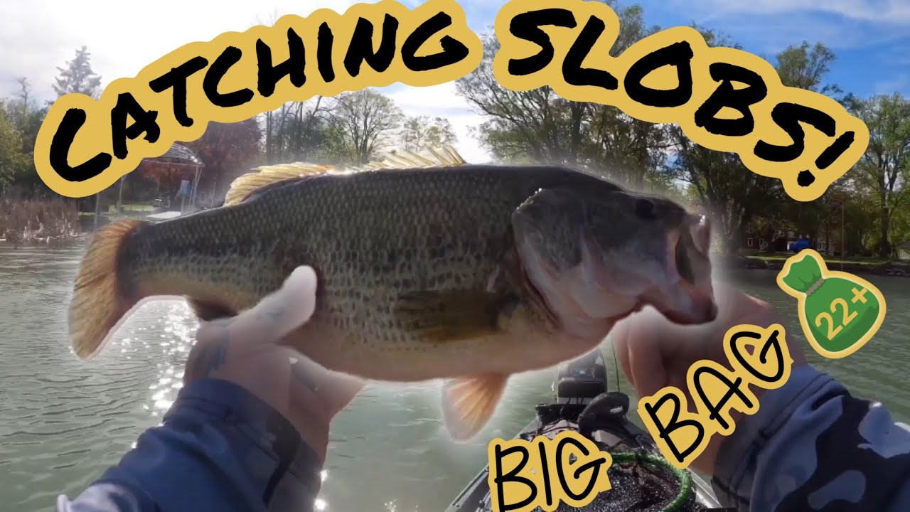 22+ lb BAG from my Kayak! (Bass Were Biting) - YouTube