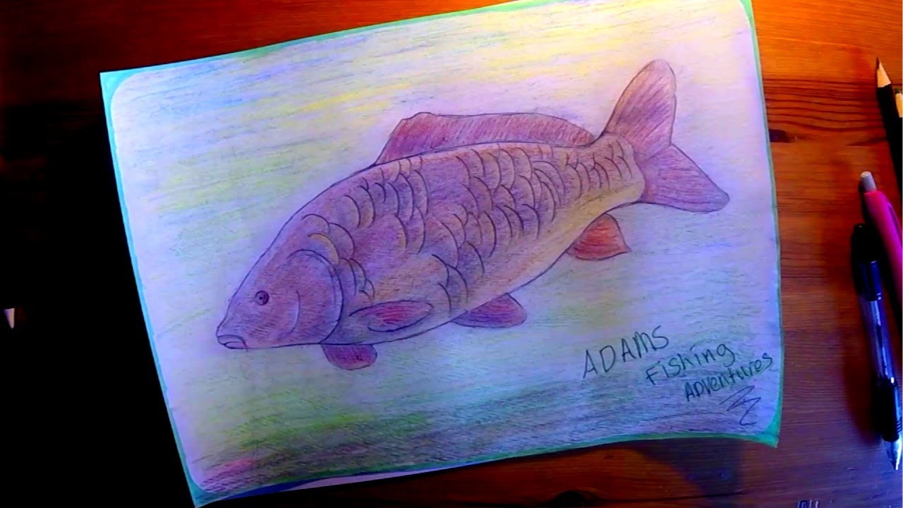 DRAWING CARP - GETTING CREATIVE - YouTube