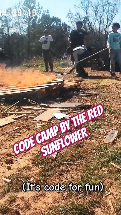Code Camp by The Red Sunflower (It's code for fun). Learn more at ...