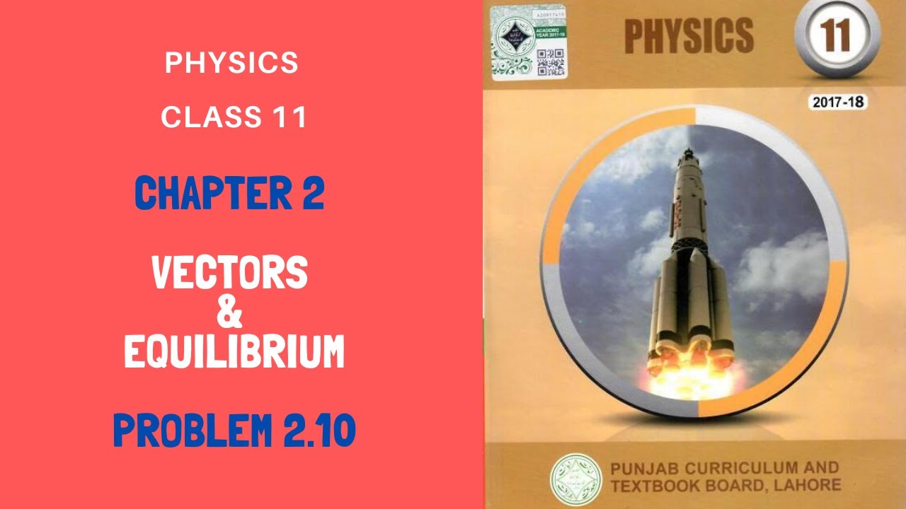 Physics Class 11 - Chapter 2, Problem 2.10 - YouTube
