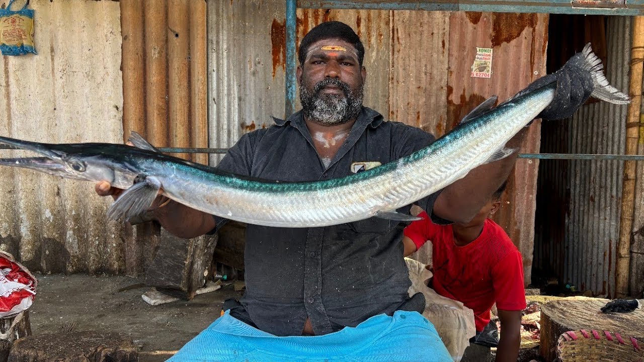 Rare🐍GREEN OOSI KOLA FISH⚡️🦈🗡 KASIMEDU FISH CUTTING ⚡️ VADACHENNAI ...