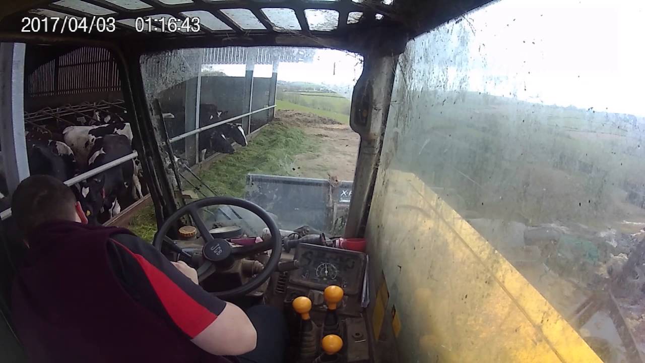 pushing silage up for dairy cows milked by lely a4 roborts - YouTube