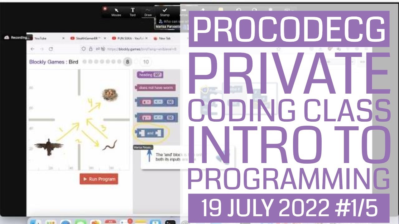 Procodecg Private Coding Class Intro To Programming Part 1 5 19 July 2022 Youtube