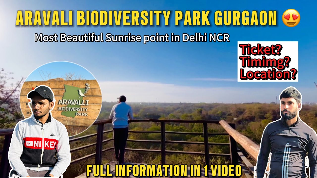 Aravali Biodiversity Park Gurgaon | Aravali Hills Gurgaon | Walking ...
