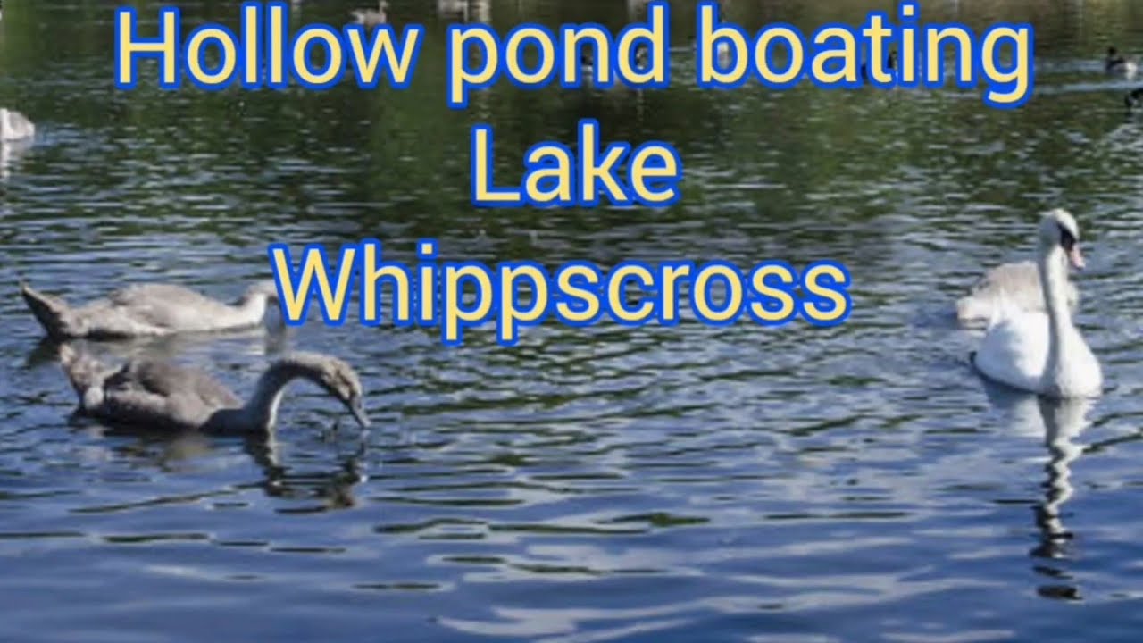 The Whipps Cross Hollow Ponds , Boating Leytonstone, London, UK - YouTube
