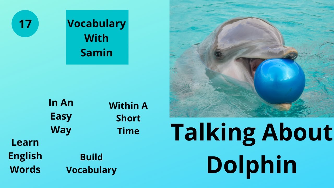 Dolphin Descriptions: A Sea of Words