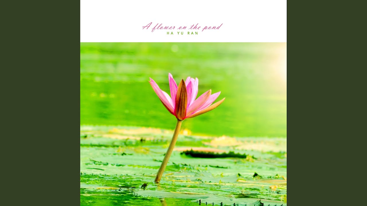 A wind that resembles you - YouTube