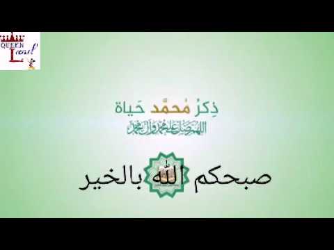 Whatsapp ucun Dini videolar