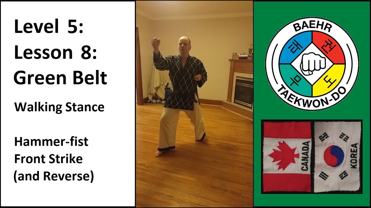 Level 05: Lesson 08: Green Belt: Walking Stance - Hammer-fist Front ...