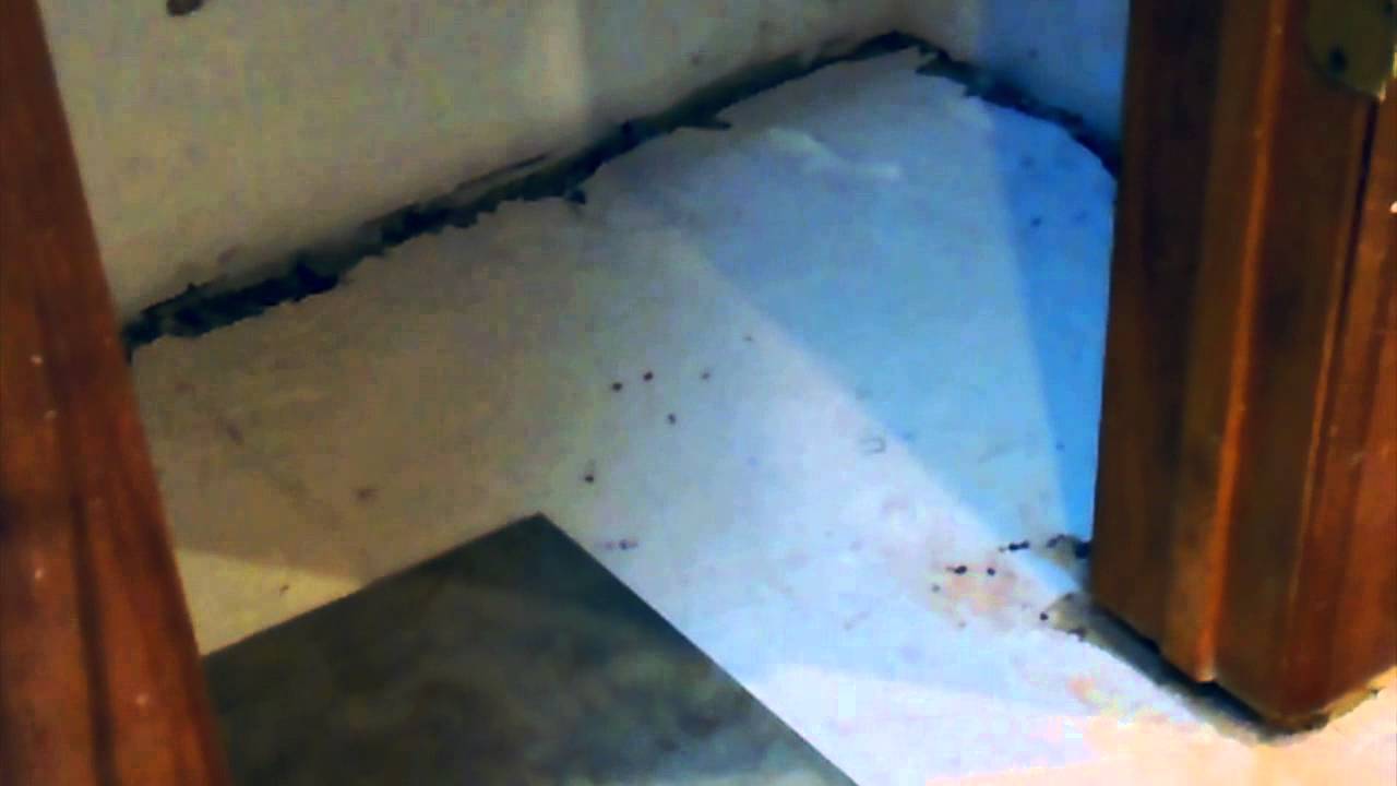 How To Under Cut A Door Jam For Tile To Fit - YouTube