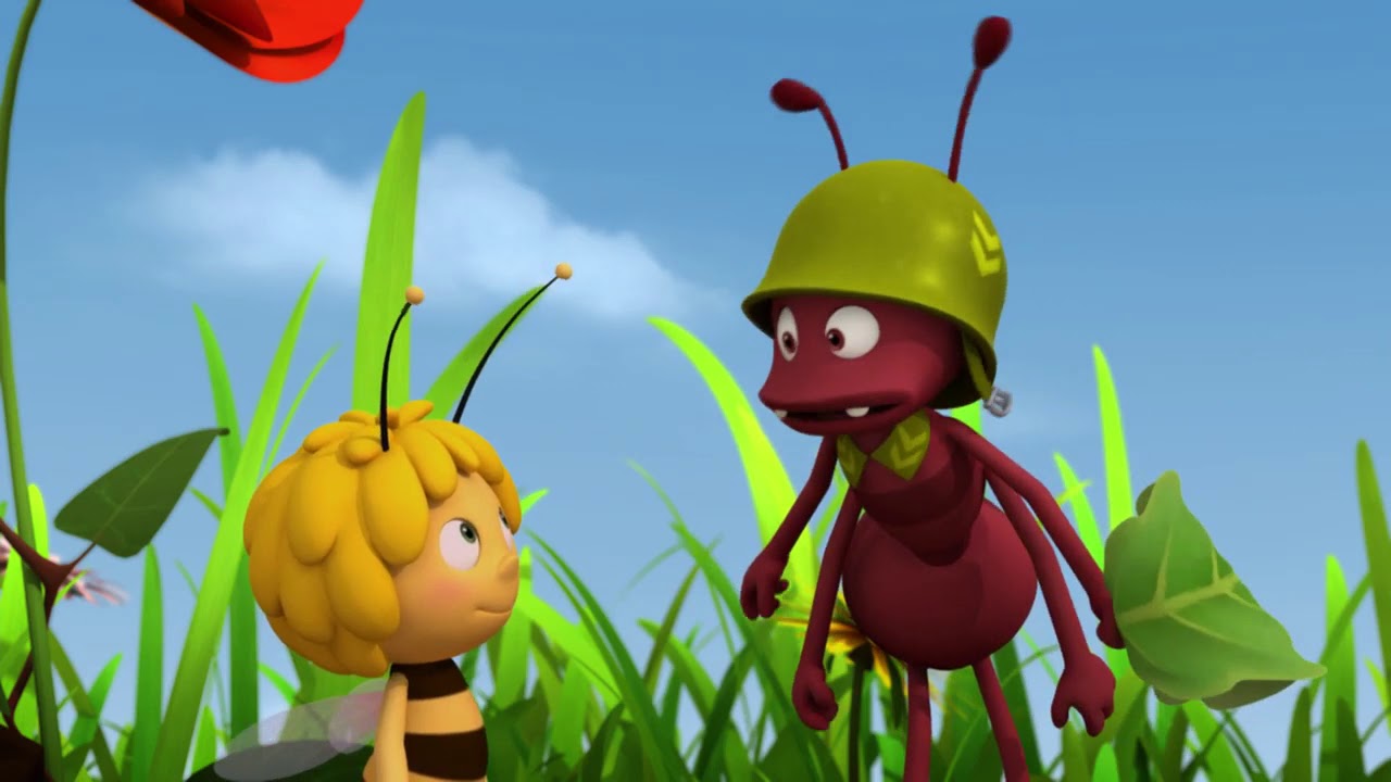 Maya, commander in chief - Maya the Bee - Episode 50 - YouTube