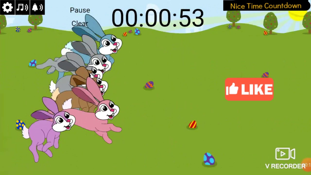 Bunny Race Timer /countdown - YouTube