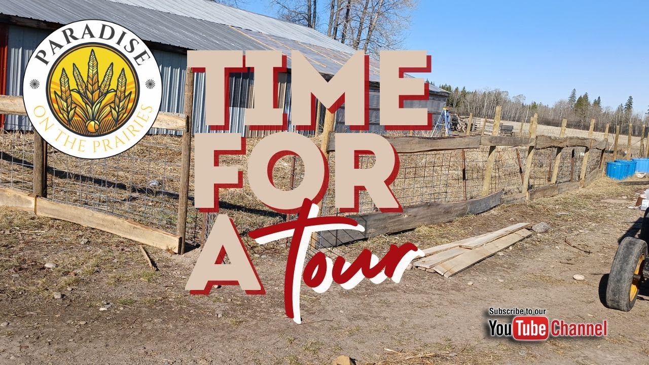 Time for a tour!!! check out our hard work - YouTube