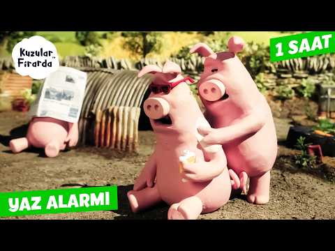 🧴GÜNEŞ KREMİMİ SÜRDÜM! ☀️🐷 | Shaun the Sheep | Çocuklar İçin Çizgi Film