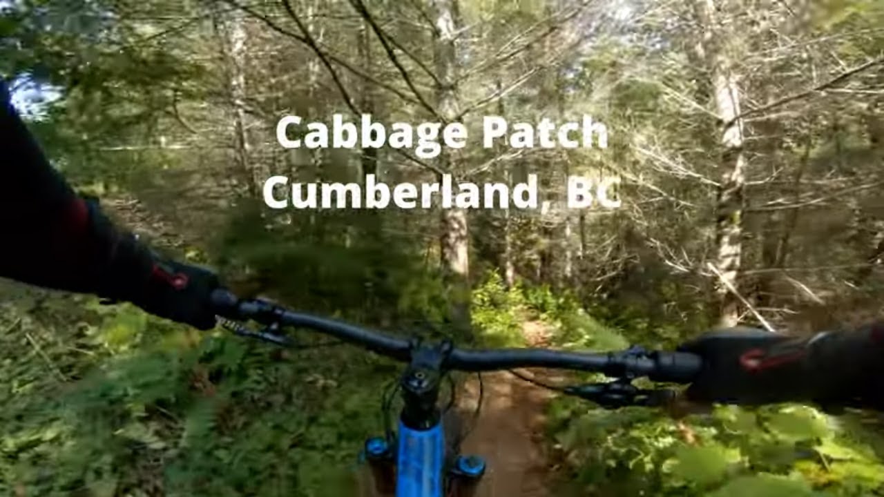 Cabbage Patch in Cumberland, BC - YouTube