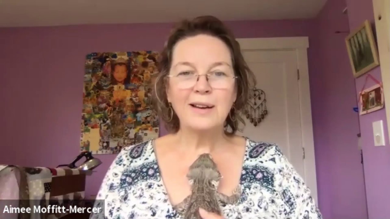 Lisa for Maine: Volunteer Voices - Aimee Moffitt-Mercer - YouTube