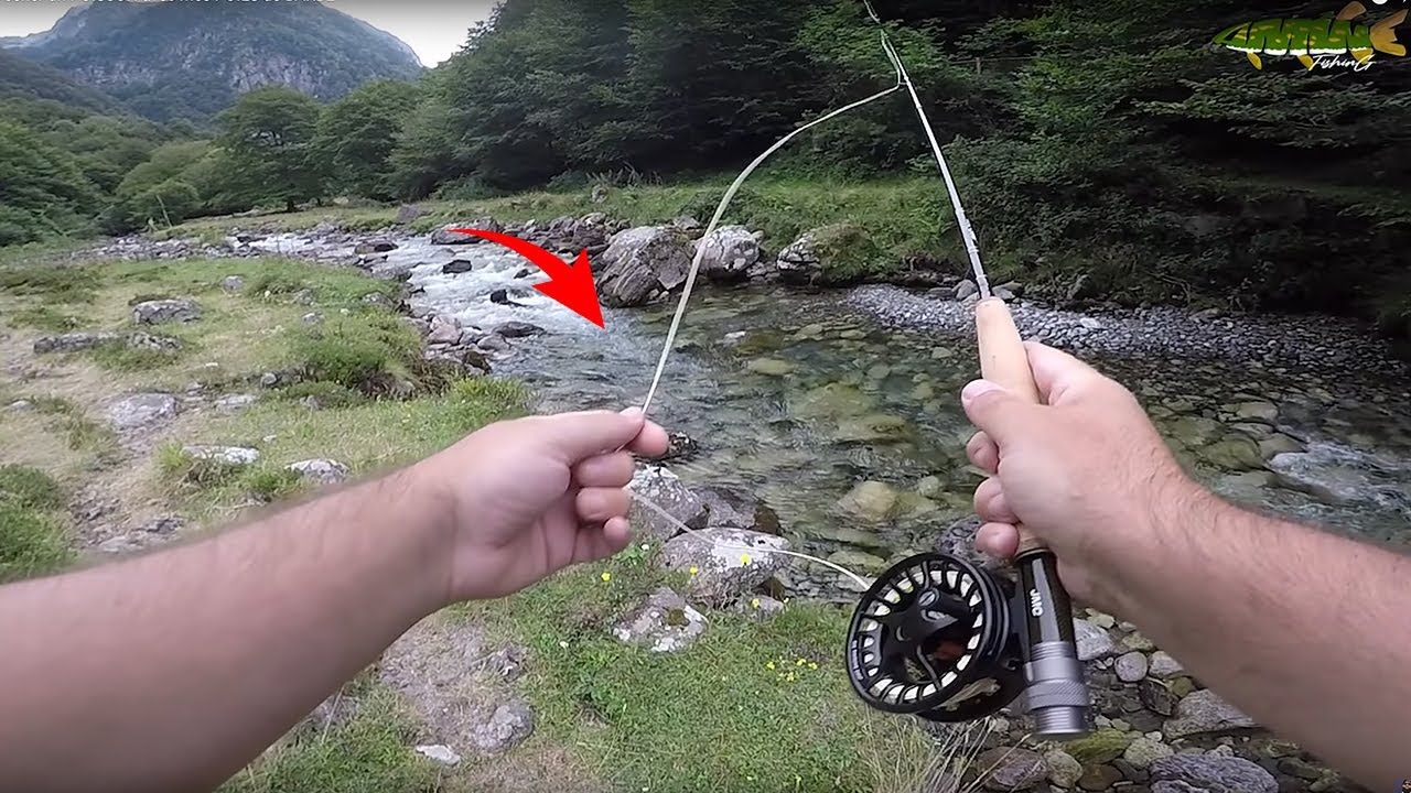 Défi pêche - Pêcher un POISSON avec mes POILS de BARBE - YouTube