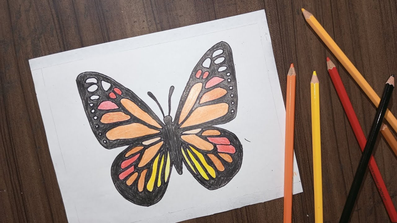Easy Colored Pencil Drawings Tumblr Pencil Drawing Tumblr GIFs | Tenor