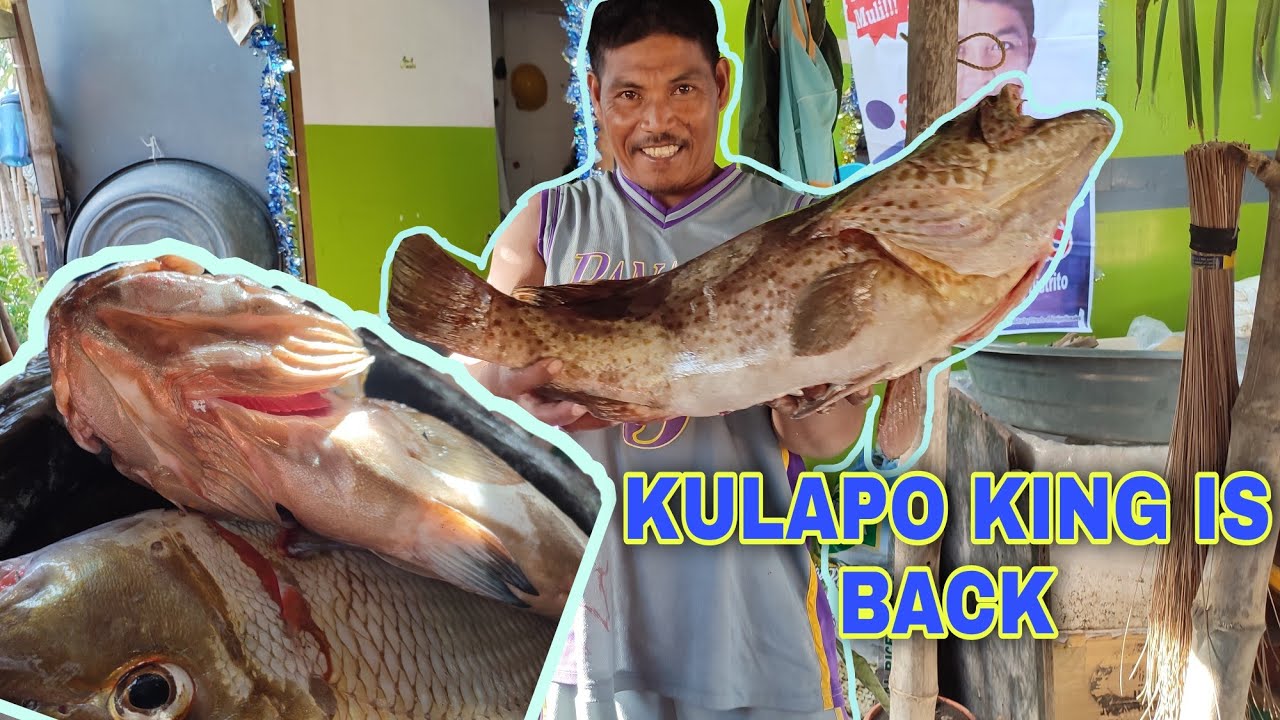 KULAPO "KING" IS BACK - YouTube