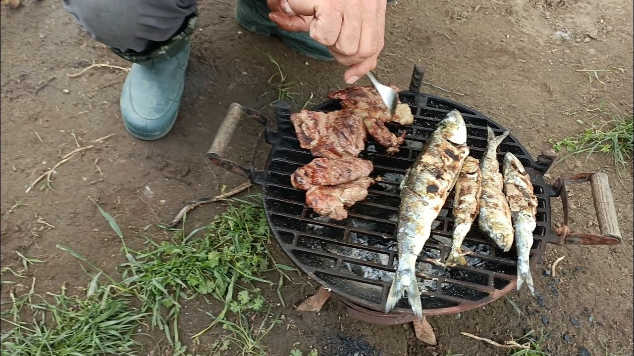 Pescuit la scrumbie pe Dunăre. Un grătărel, un păhărel cu oameni faini ...
