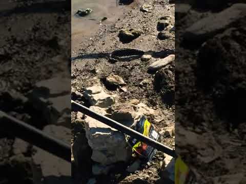 El oltasıyla sazan avı#carp #fishing #doğa