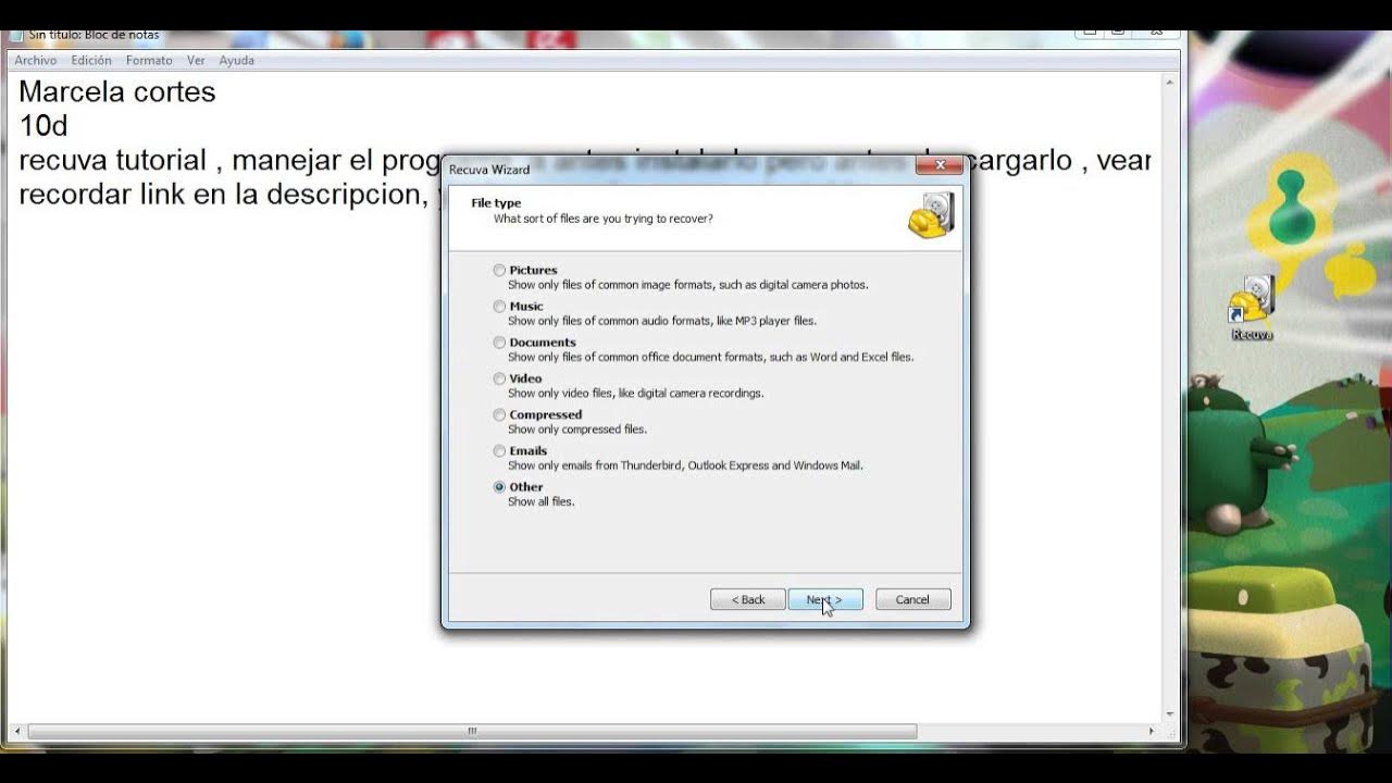 TUTORIAL PROGRAMA RECUVA - YouTube