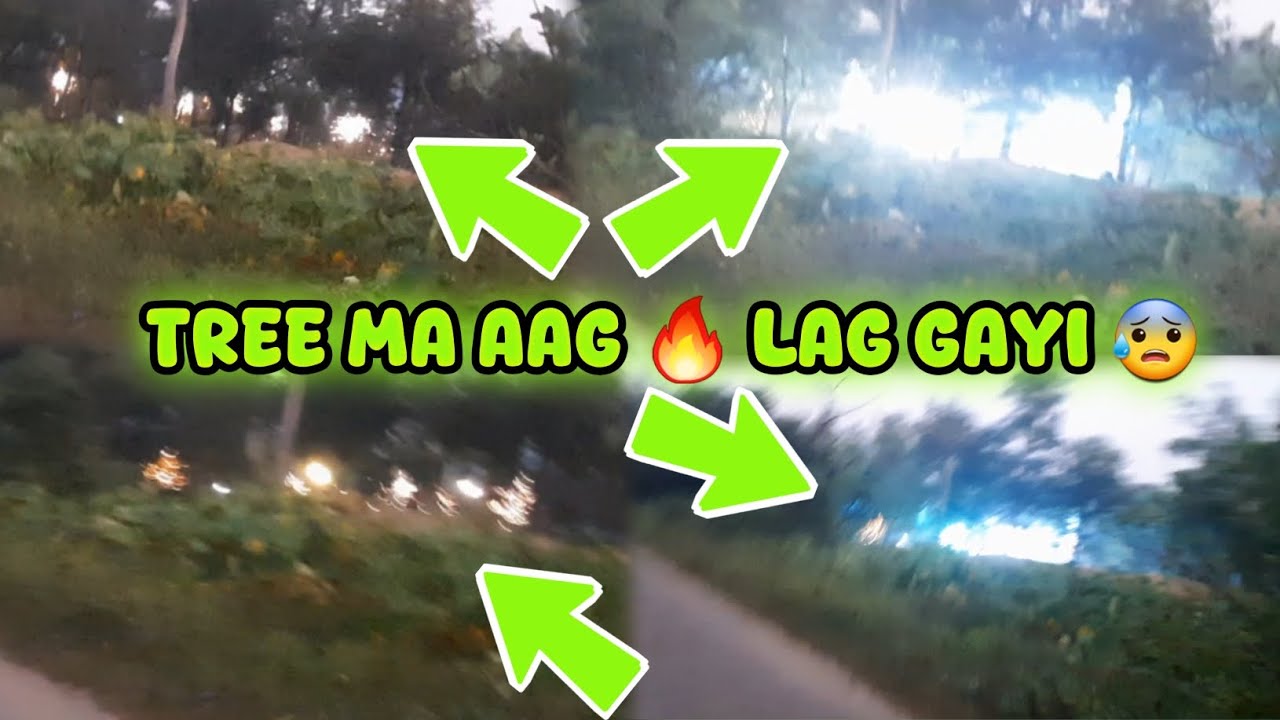TREE MA AAG LAG GAYA 🔥 AAB KAY HOGA 😰 - YouTube