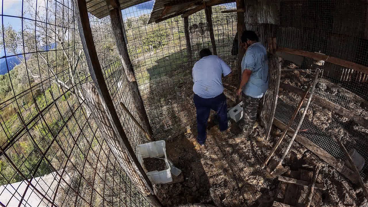 Pollaiolapse - Costruzione muro perimetrale ---- PoultryHatcheryLapse ...