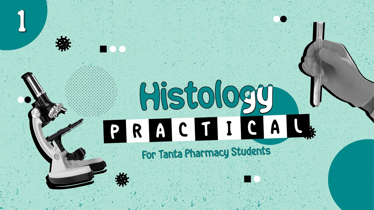 1- Histology Practical (INTRO) - YouTube