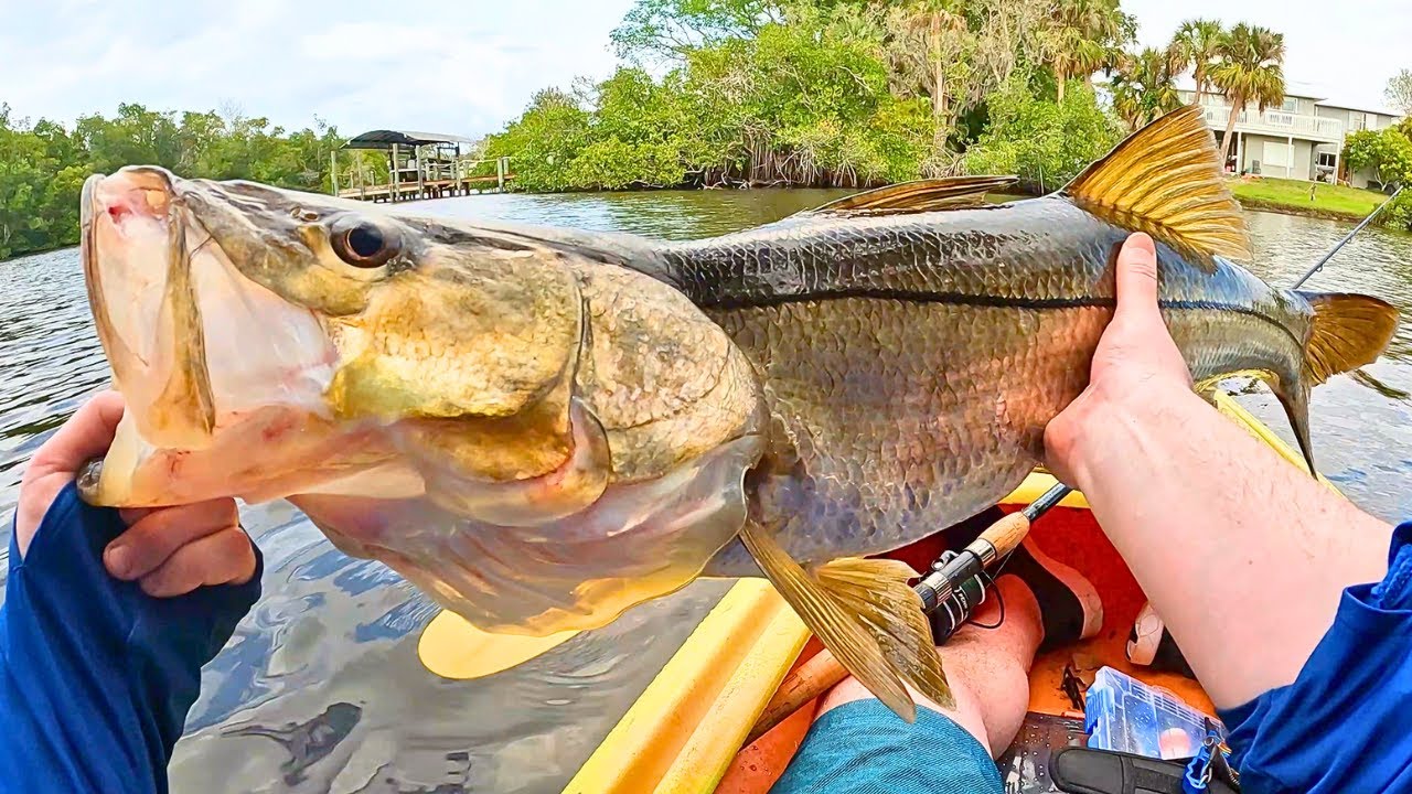 I Caught a MASSIVE Snook! | Kayak Fishing in Fort Myers, Florida ...