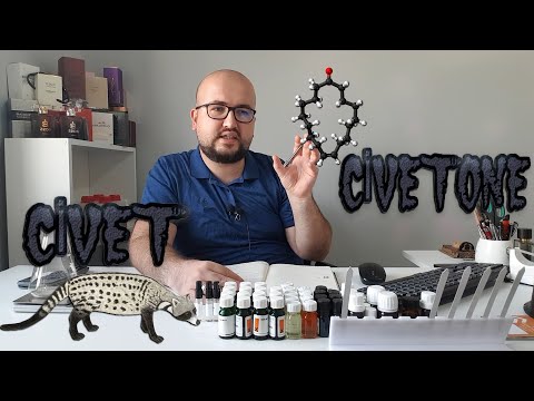 PARFÜMDE DOĞAL AFRODİZYAK ( FEROMON ) CİVET, CİVETONE - PARFÜM TAVSİYELERİ EMRE BOSLU