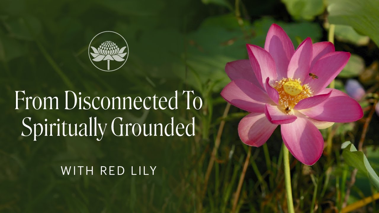 From Disconnected To Spiritually Grounded | Red Lily - YouTube