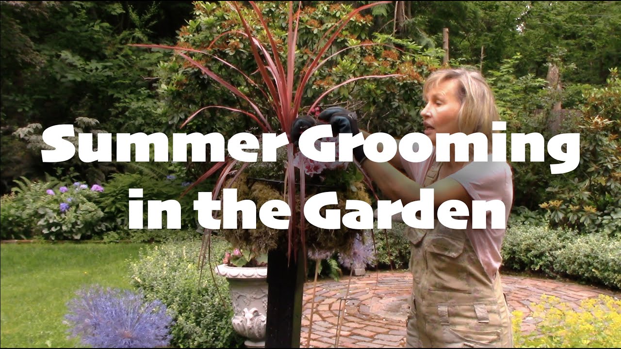 Summer Grooming in the Garden - YouTube
